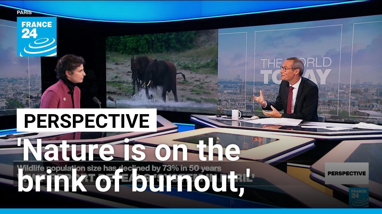 'Nature is on the brink of burnout,' WWF warns as COP16 biodiversity summit opens - France 24